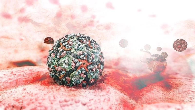 Understanding mayaro virus fever symptoms and risks
