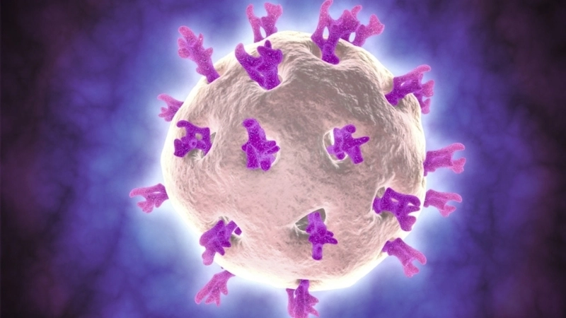 Understanding sapovirus infection and its common symptoms