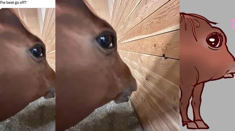A gallery of the best animal side eye meme pictures